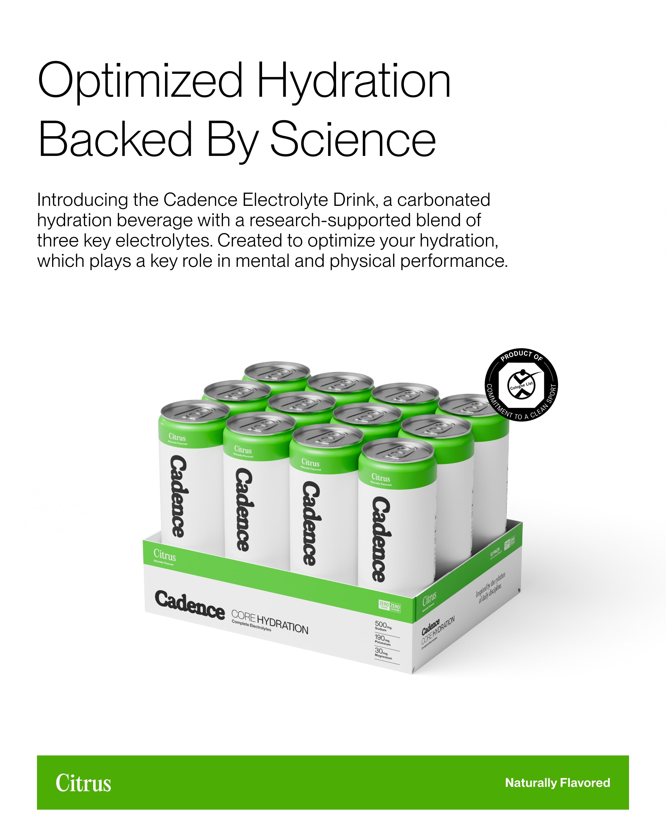 Home Core Hydration Drink - Citrus